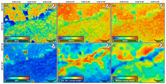 Forest Vertical Structure Mapping Using Two-Seasonal Optic Images and ...