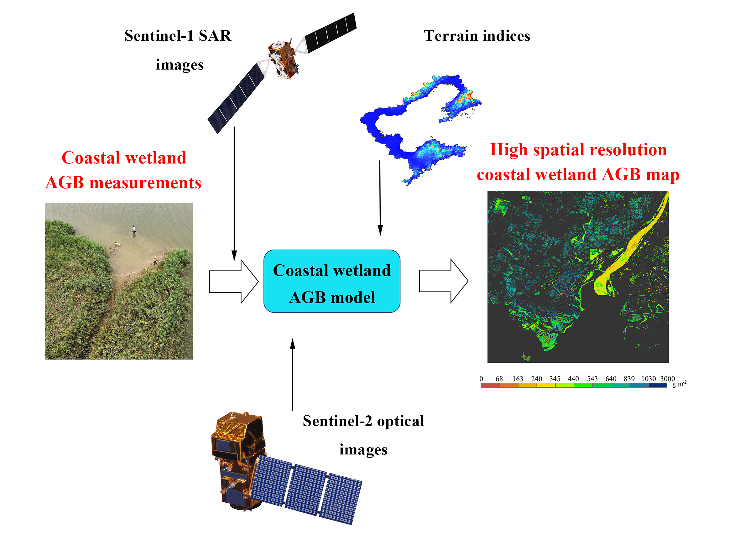Remote Sensing | Free Full-Text | Modelling Aboveground Biomass Carbon Stock of the Bohai Rim ...