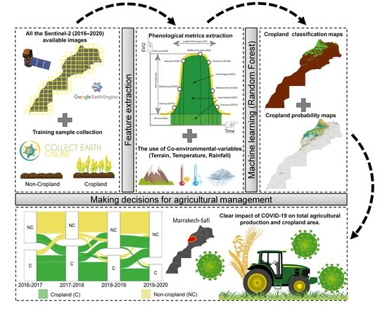 Remote Sensing | Free Full-Text | National-Scale Cropland Mapping Based ...