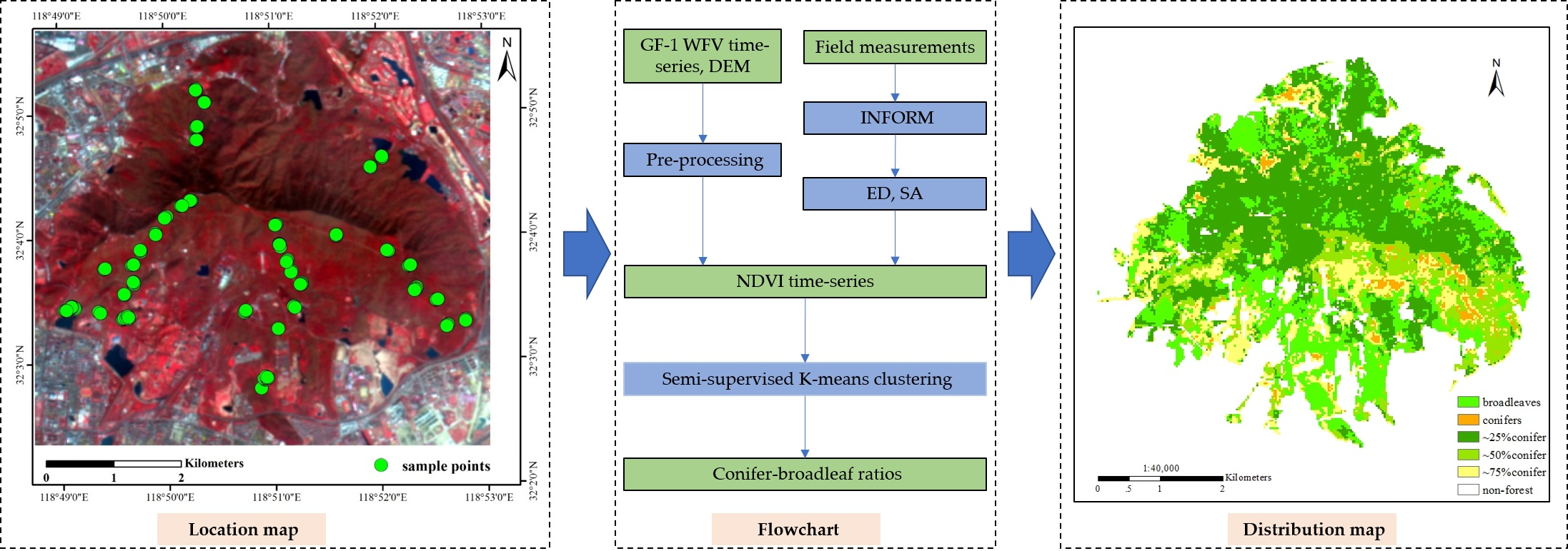Remote Sensing | Free Full-Text | Estimation of the Conifer-Broadleaf Ratio in Mixed Forests ...