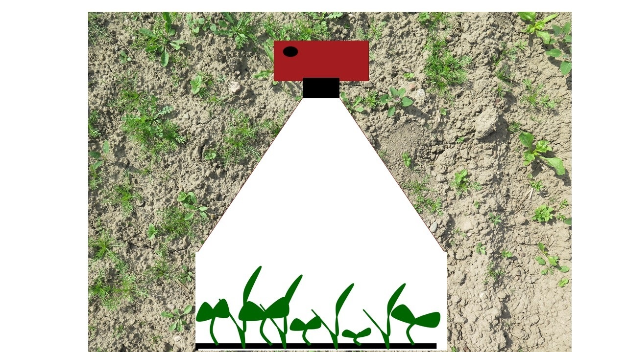 Remote Sensing | Free Full-Text | Deep Neural Networks to Detect Weeds ...