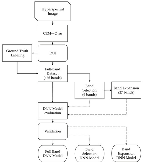 Remote Sensing | Free Full-Text | Detection and Classification of Rice ...