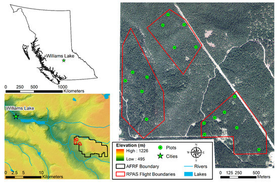 Estimation of Vertical Fuel Layers in Tree Crowns Using High Density ...