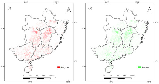 High Resolution Distribution Dataset of Double-Season Paddy Rice in China