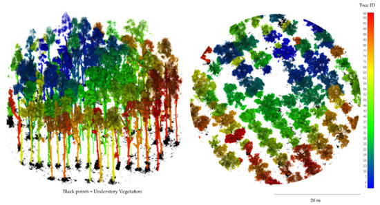 Remote Sensing | Free Full-Text | Forest Structural Complexity Tool—An Open Source, Fully ...