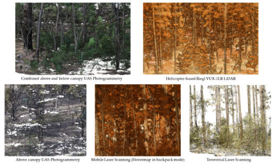 Remote Sensing | Free Full-Text | Forest Structural Complexity Tool—An Open Source, Fully ...