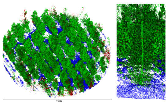 Remote Sensing | Free Full-Text | Forest Structural Complexity Tool—An Open Source, Fully ...