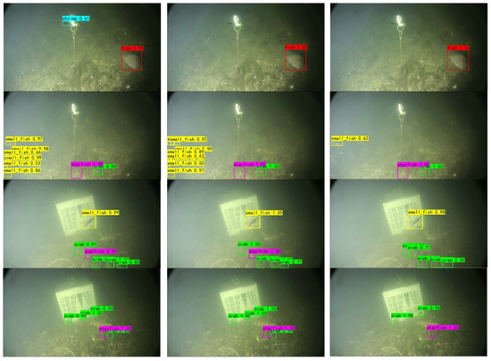 Lightweight Underwater Object Detection Based on YOLO v4 and Multi ...