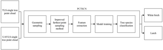Classification of Typical Tree Species in Laser Point Cloud Based on ...