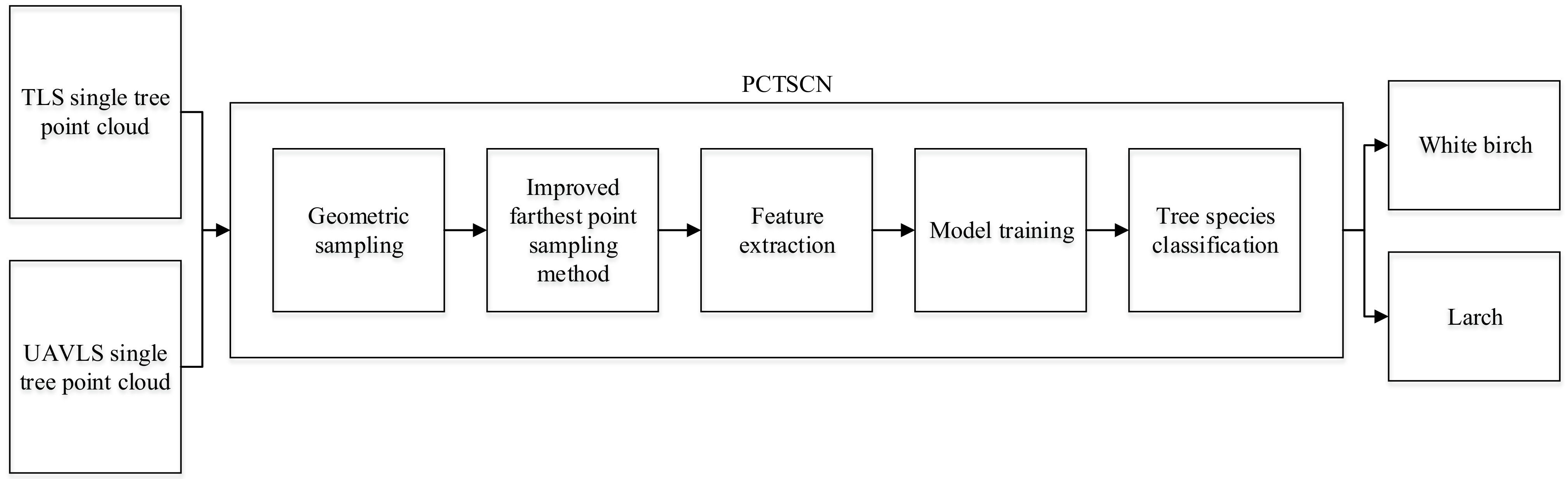 Classification of Typical Tree Species in Laser Point Cloud Based on ...