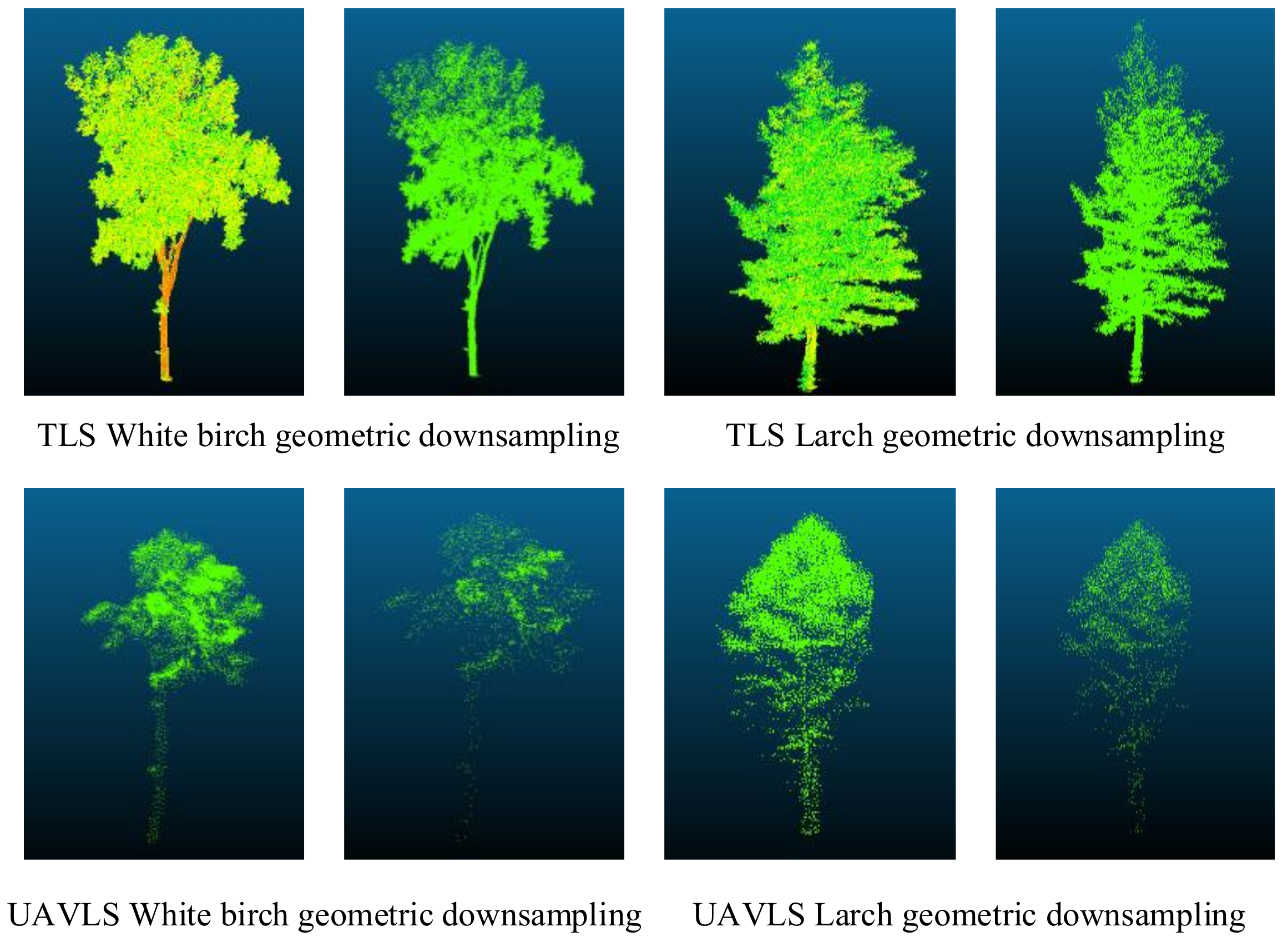 Classification of Typical Tree Species in Laser Point Cloud Based on ...