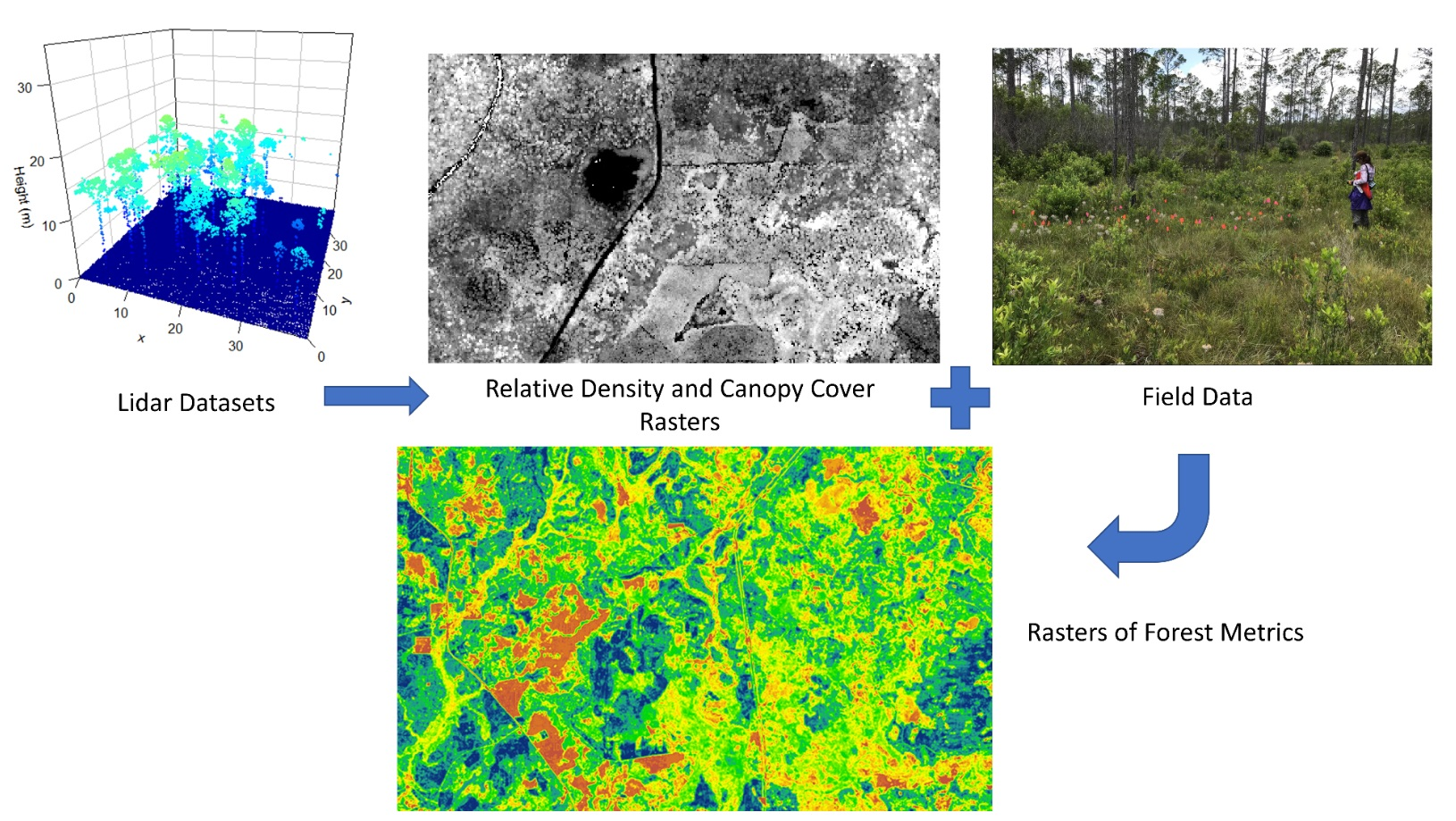 Remote Sensing | Free Full-Text | Forest Structural Estimates Derived ...