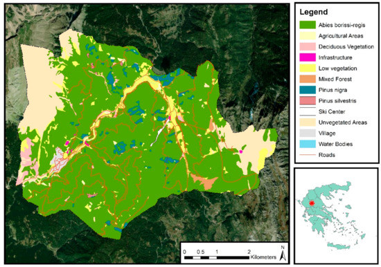 Estimation of Individual Tree Stem Biomass in an Uneven-Aged Structured Coniferous Forest Using ...