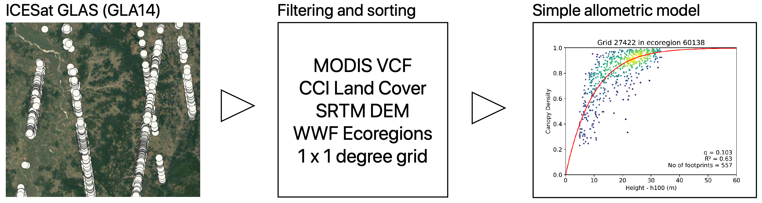 Remote Sensing Free Full Text Exploring The Relationship Between Forest Canopy Height And