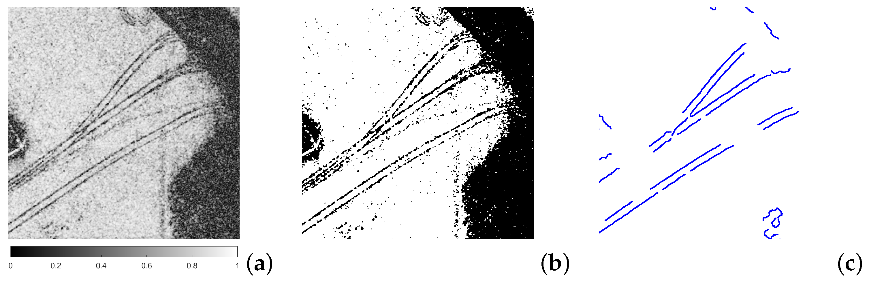 Enhancing Coherence Images for Coherent Change Detection: An Example on ...