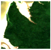 MDPrePost-Net: A Spatial-Spectral-Temporal Fully Convolutional Network for Mapping of Mangrove ...