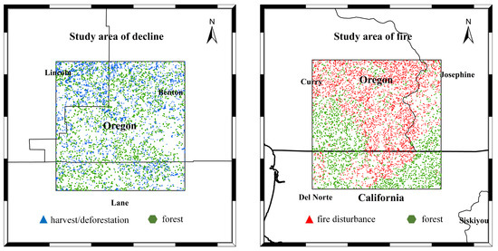 Mapping Large-Scale Forest Disturbance Types with Multi-Temporal CNN ...