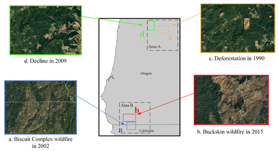 Mapping Large-Scale Forest Disturbance Types with Multi-Temporal CNN ...