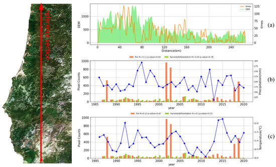 Mapping Large-Scale Forest Disturbance Types with Multi-Temporal CNN ...
