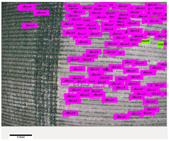 Remote Sensing | Free Full-Text | Deep Learning-Based Object Detection System for Identifying ...