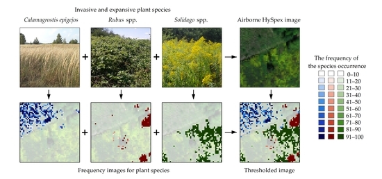 Remote Sensing | Free Full-Text | Mapping Invasive Plant Species with ...