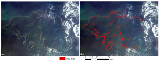 Red Tide Detection Method for HY−1D Coastal Zone Imager Based on U−Net ...