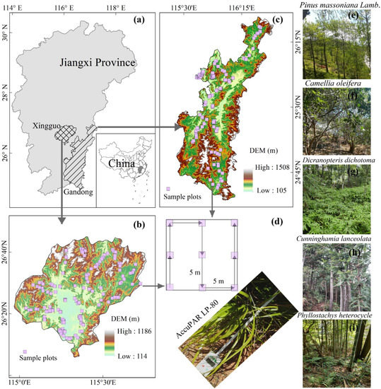 Remote Sensing | Free Full-Text | Improving Leaf Area Index Retrieval Using Multi-Sensor Images ...