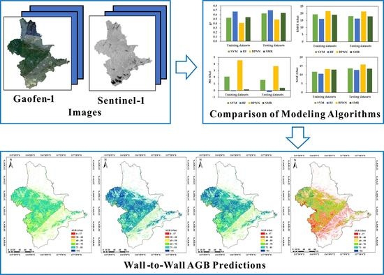 Remote Sensing | Free Full-Text | Estimating Forest Aboveground Biomass ...