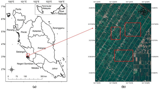 Aerial Imagery Paddy Seedlings Inspection Using Deep Learning
