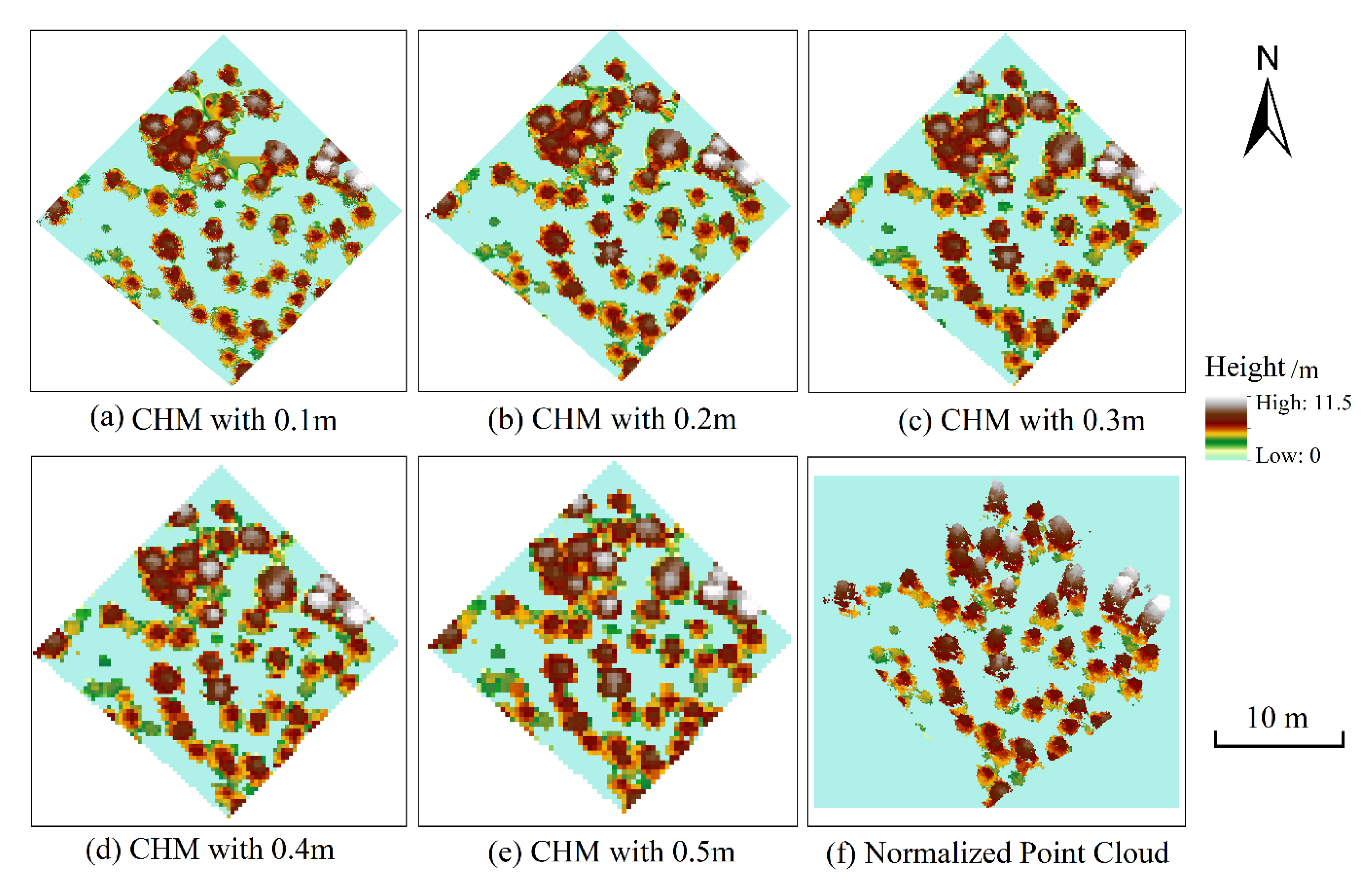 Performance and Sensitivity of Individual Tree Segmentation Methods for ...