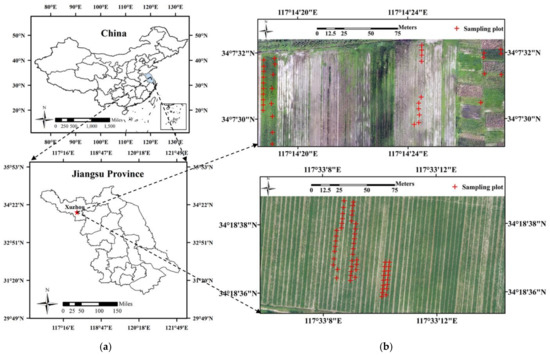 Combining Spectral and Texture Features of UAS-Based Multispectral Images for Maize Leaf Area ...