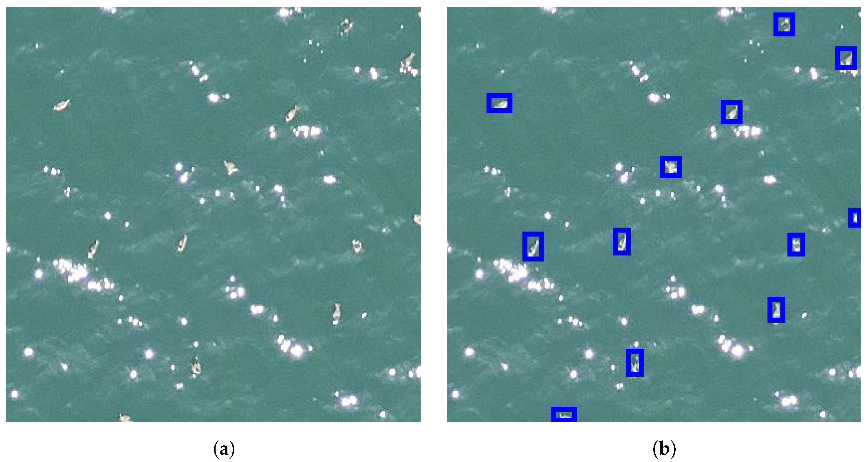 Weakly Supervised Detection of Marine Animals in High Resolution Aerial ...