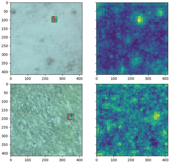 Weakly Supervised Detection of Marine Animals in High Resolution Aerial ...
