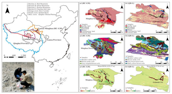 Estimation of Soil Salinization by Machine Learning Algorithms in Different Arid Regions of ...