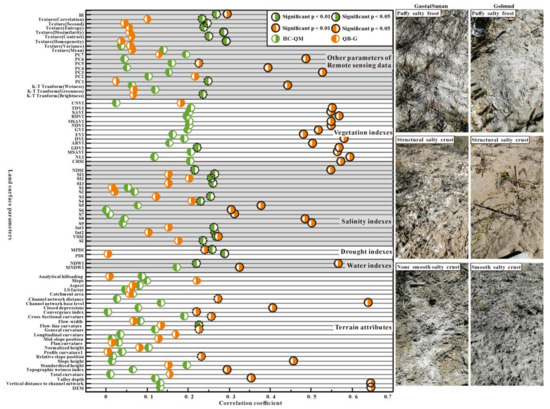 Estimation of Soil Salinization by Machine Learning Algorithms in Different Arid Regions of ...