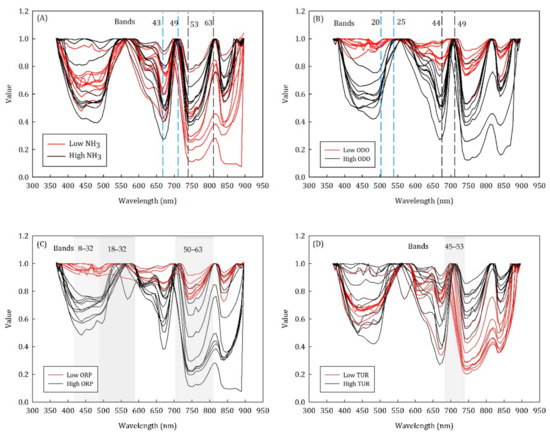A New Method for Continuous Monitoring of Black and Odorous Water Body ...