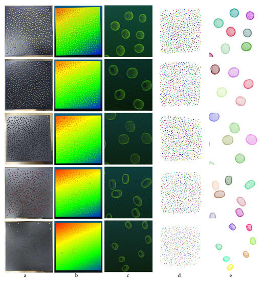 High-Throughput Legume Seed Phenotyping Using a Handheld 3D Laser Scanner