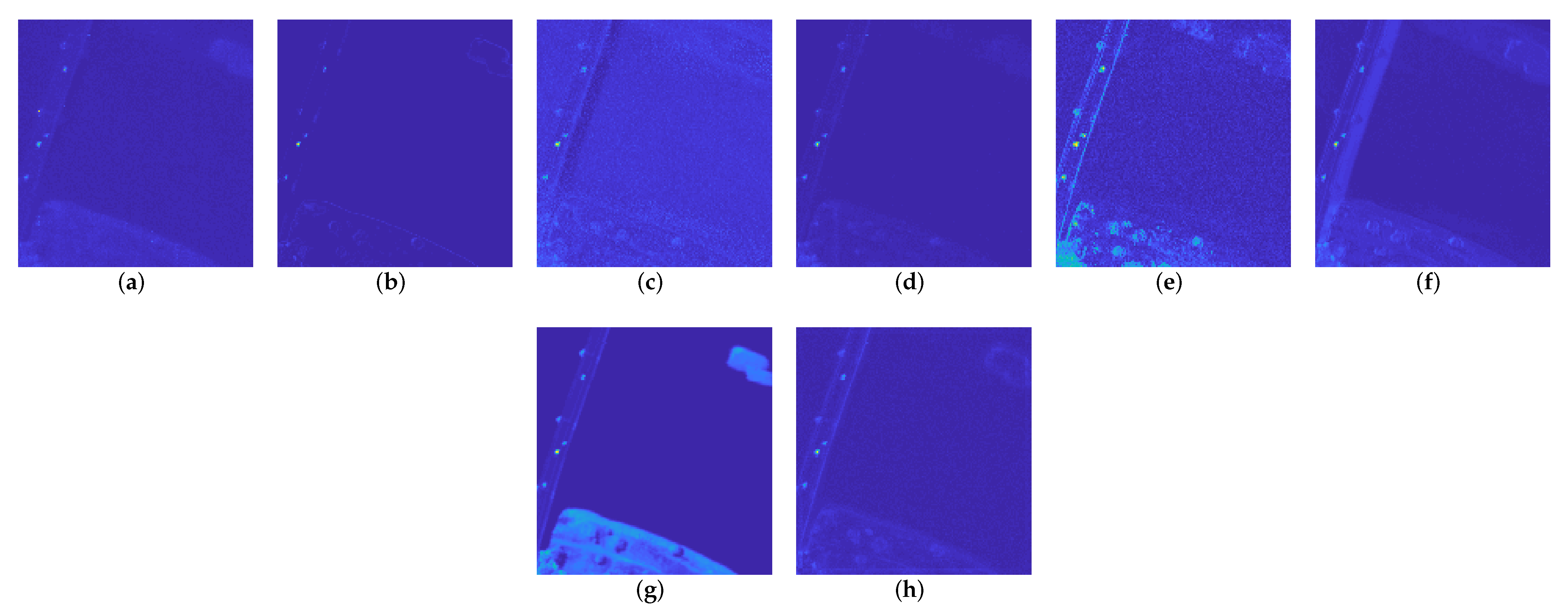 Exploring the Intrinsic Probability Distribution for Hyperspectral ...