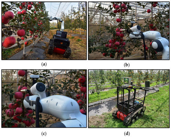 Occluded Apple Fruit Detection and Localization with a Frustum-Based Point-Cloud-Processing ...