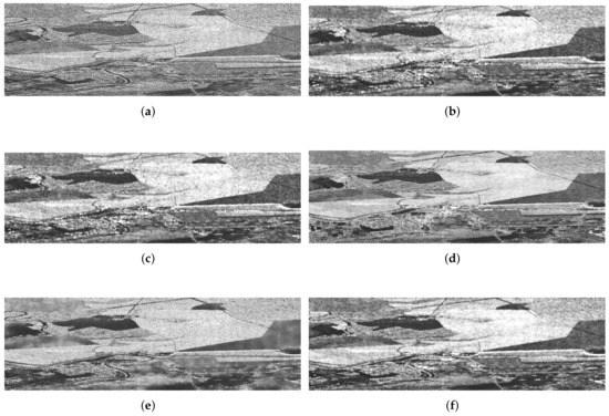 Remote Sensing | Free Full-Text | Entropy-Based Non-Local Means Filter for Single-Look SAR ...
