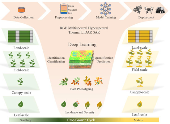 A Review of Deep Learning in Multiscale Agricultural Sensing