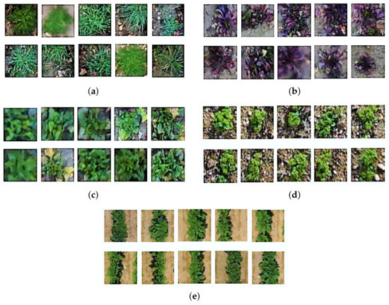 Remote Sensing | Free Full-Text | Transformer Neural Network for Weed ...