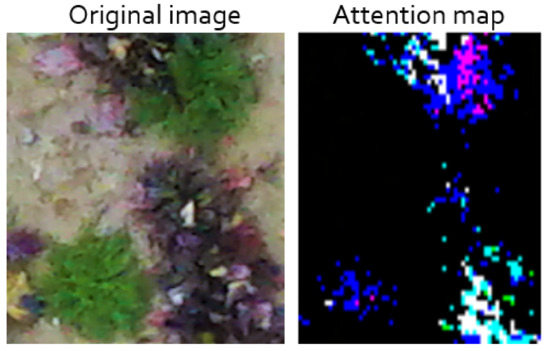Remote Sensing | Free Full-Text | Transformer Neural Network for Weed ...