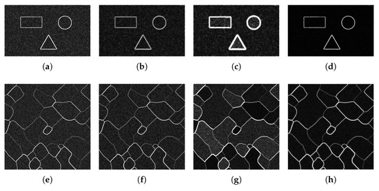 A Robust 3D Density Descriptor Based on Histogram of Oriented Primary Edge Structure for SAR and ...