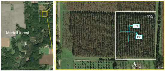 Comparative Analysis of Multi-Platform, Multi-Resolution, Multi ...