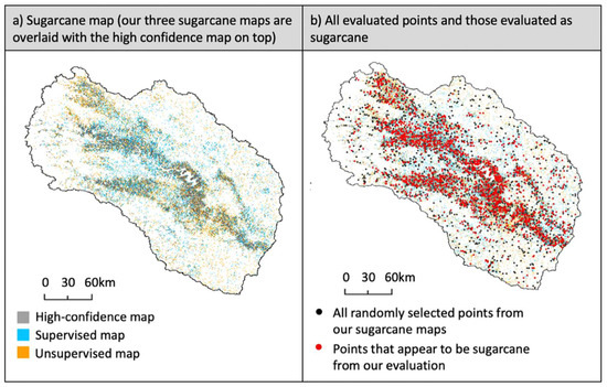Mapping Sugarcane in Central India with Smartphone Crowdsourcing