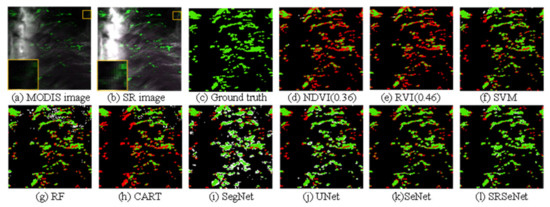 SRSe-Net: Super-Resolution-Based Semantic Segmentation Network for Green Tide Extraction