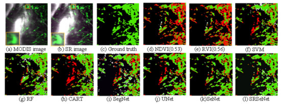 SRSe-Net: Super-Resolution-Based Semantic Segmentation Network for Green Tide Extraction