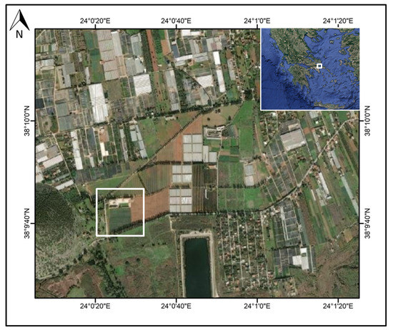 Remote Sensing | Special Issue : Crop Disease Detection Using Remote ...