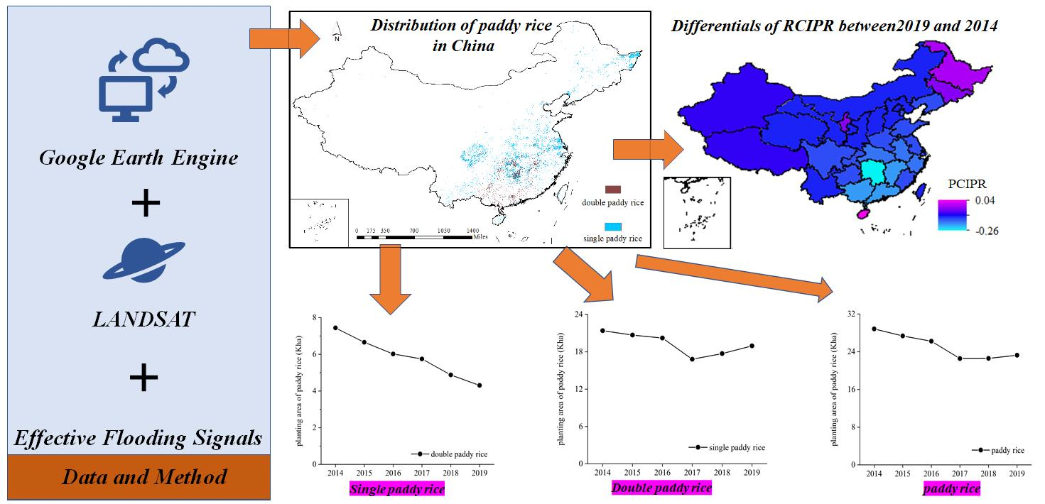 Remote Sensing | Free Full-Text | Mapping Paddy Rice Distribution and ...